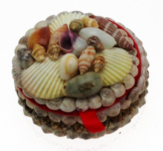 SHELL JEWEL BOX - 3 inch - ROUND SHAPE – ilovecrystalsandgems
