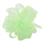 Sheer Spring Wired Ribbon - Lime Edge - 1.5 inches x 50 yards ...