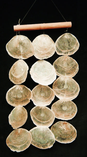 SADDLE SHELL CHIME 32 inch L x 12 inch W on Thin Rattan Pole ...